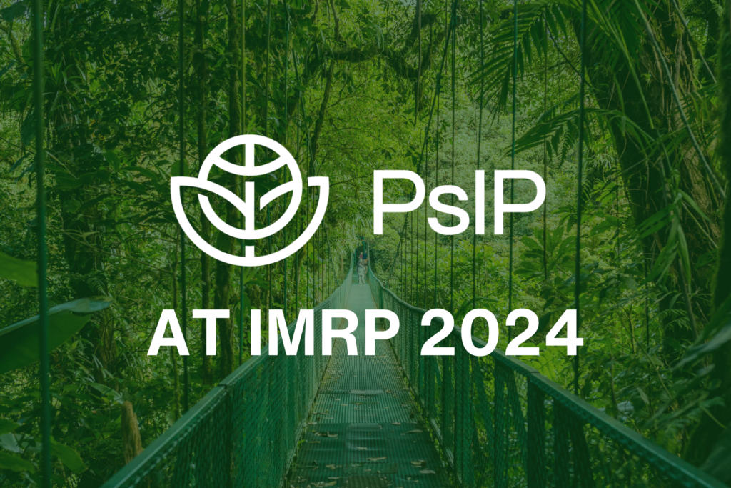 PsIP workshop at IMRP 2024: 'From Theory to Practice - Addressing ...